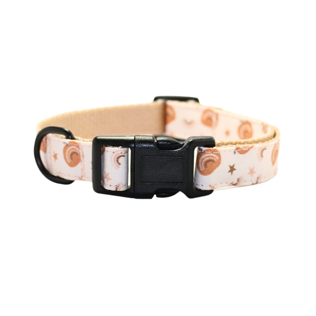 Retro Pumpkin • Fall Cat Collar • Dog Fall Collar • Everyday Dog and ...