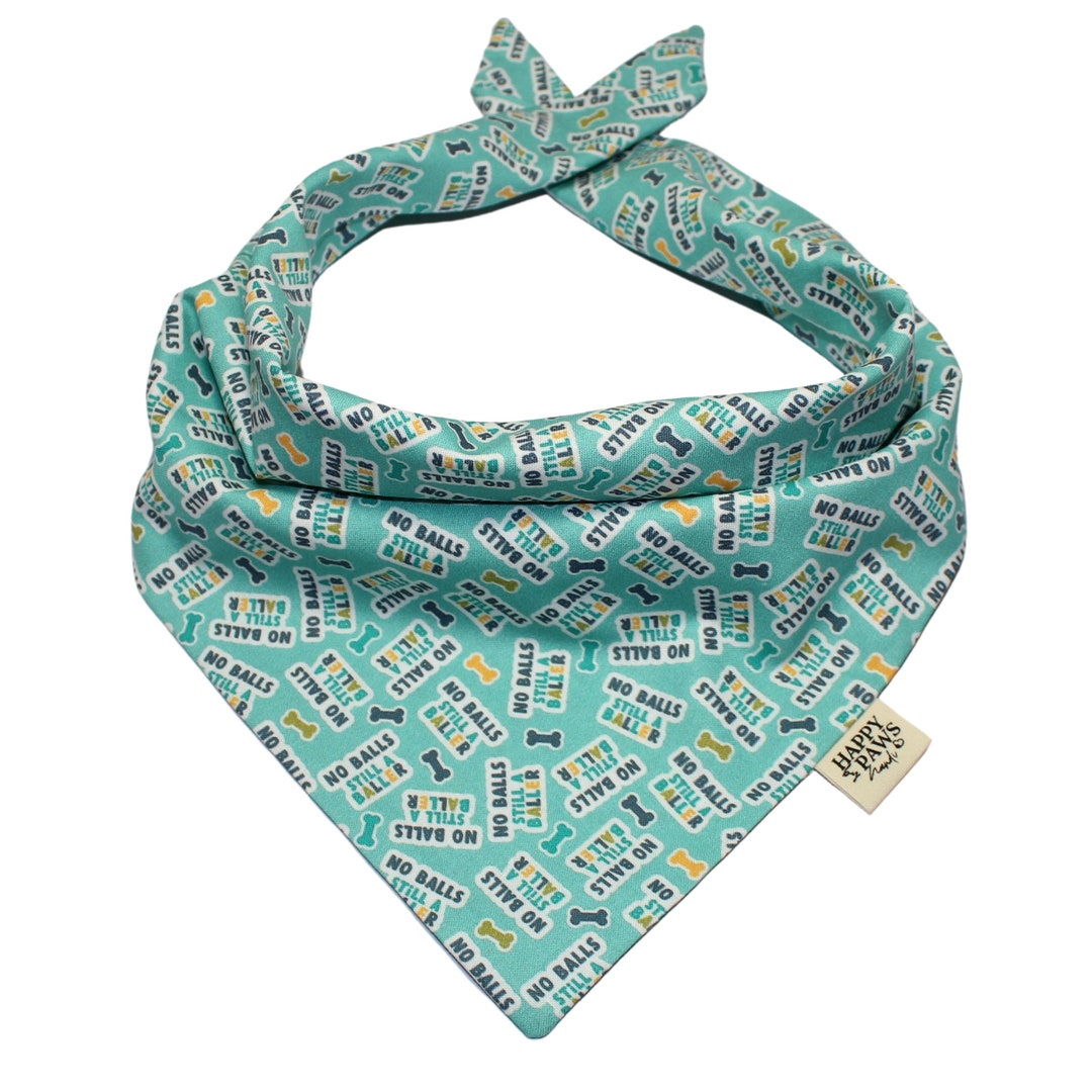 No Balls Still a Baller Pet Bandana | Sassy Pet Bandana | Sassy Cat ...