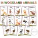 70 Design ANIMAL COLLECTION for Handprint Art Toddler Preschool Baby ...