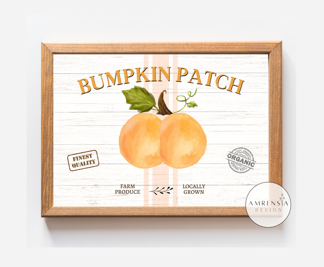Bumkin Patch, Baby Bumpkin Keepsake, Farm Decor, DIY Pumpkin Fall Craft ...