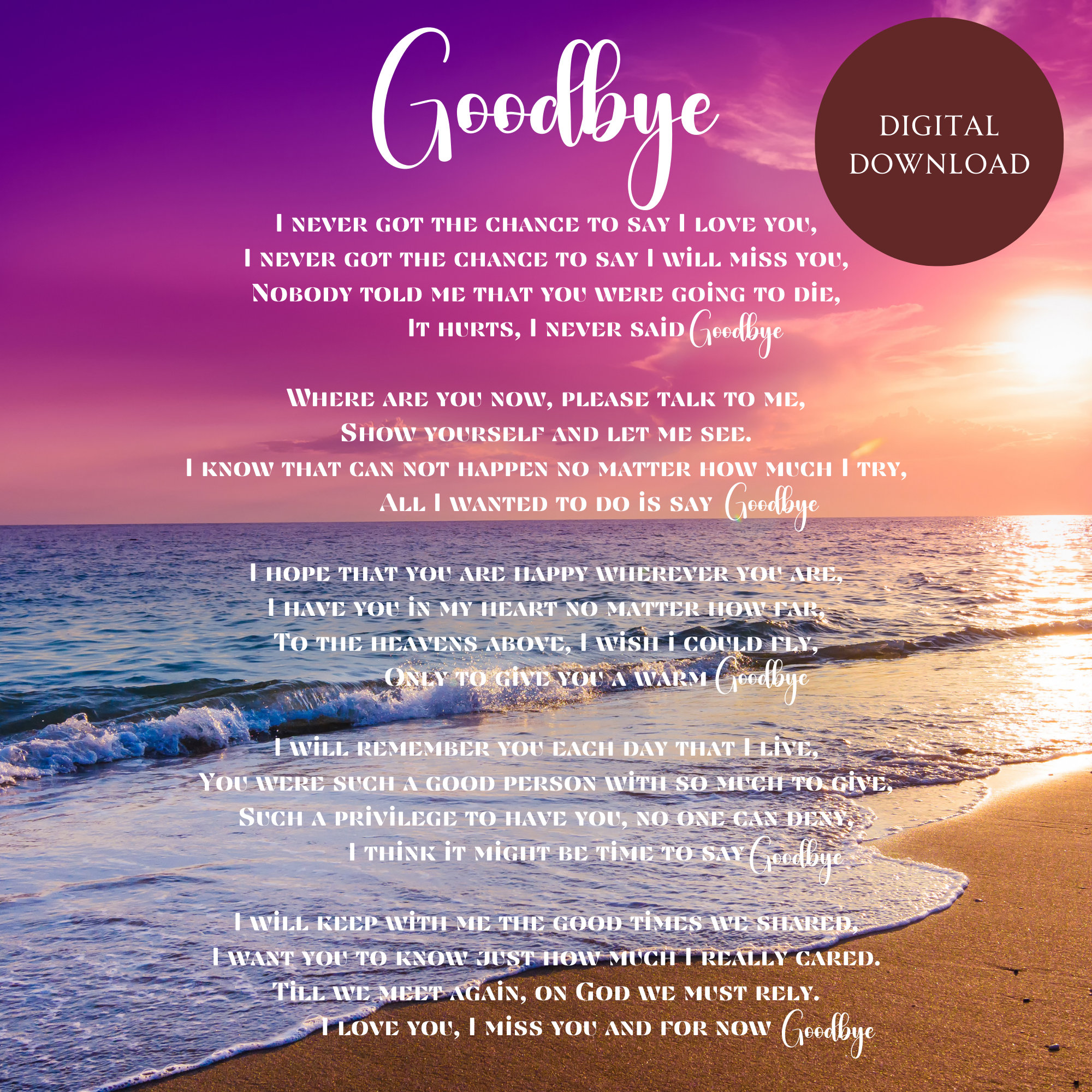 We Never Got To Say Goodbye Quotes