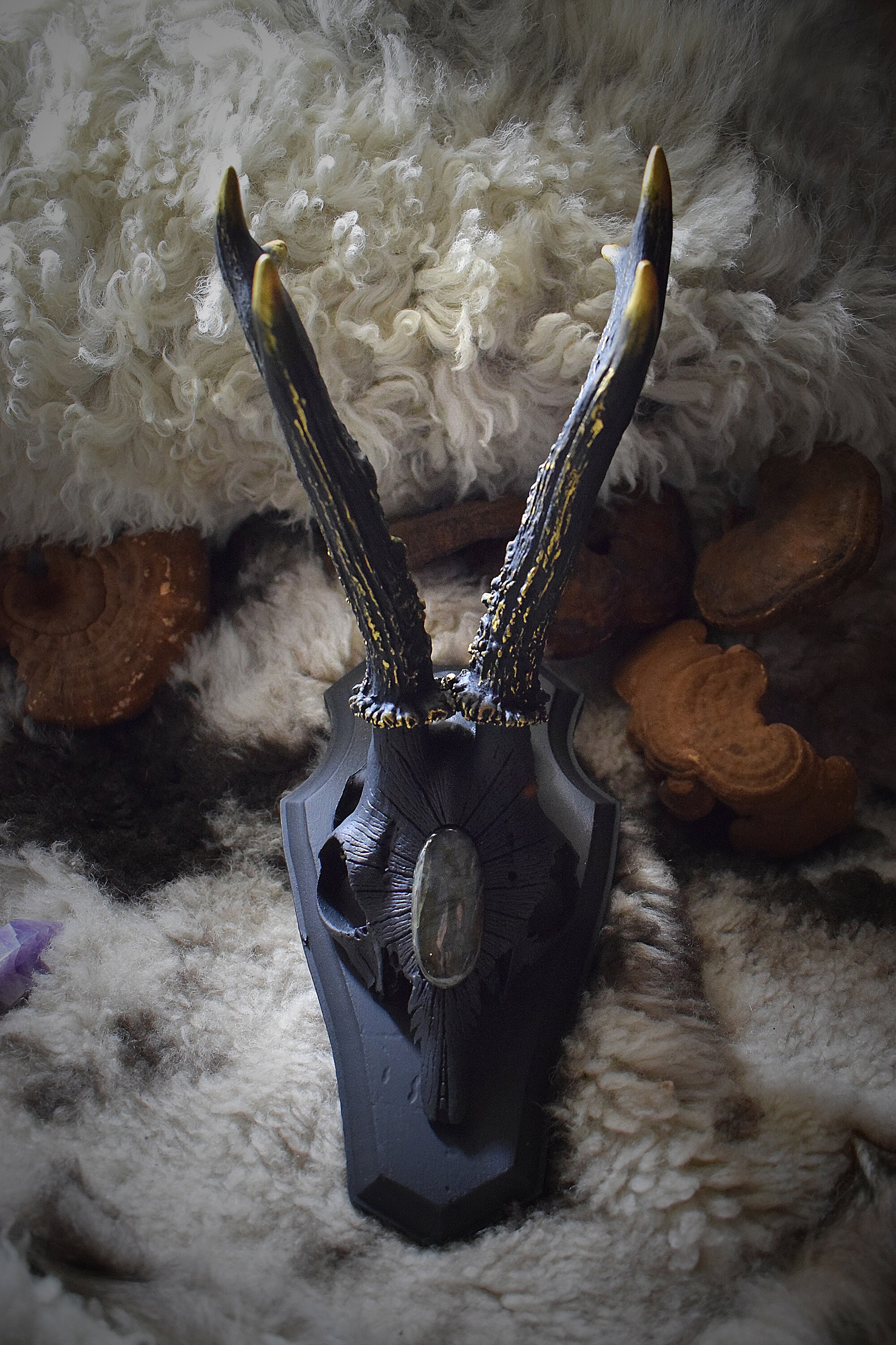 Carved Roe Deer Skull on Wooden Shield With Big Labradorite | Etsy