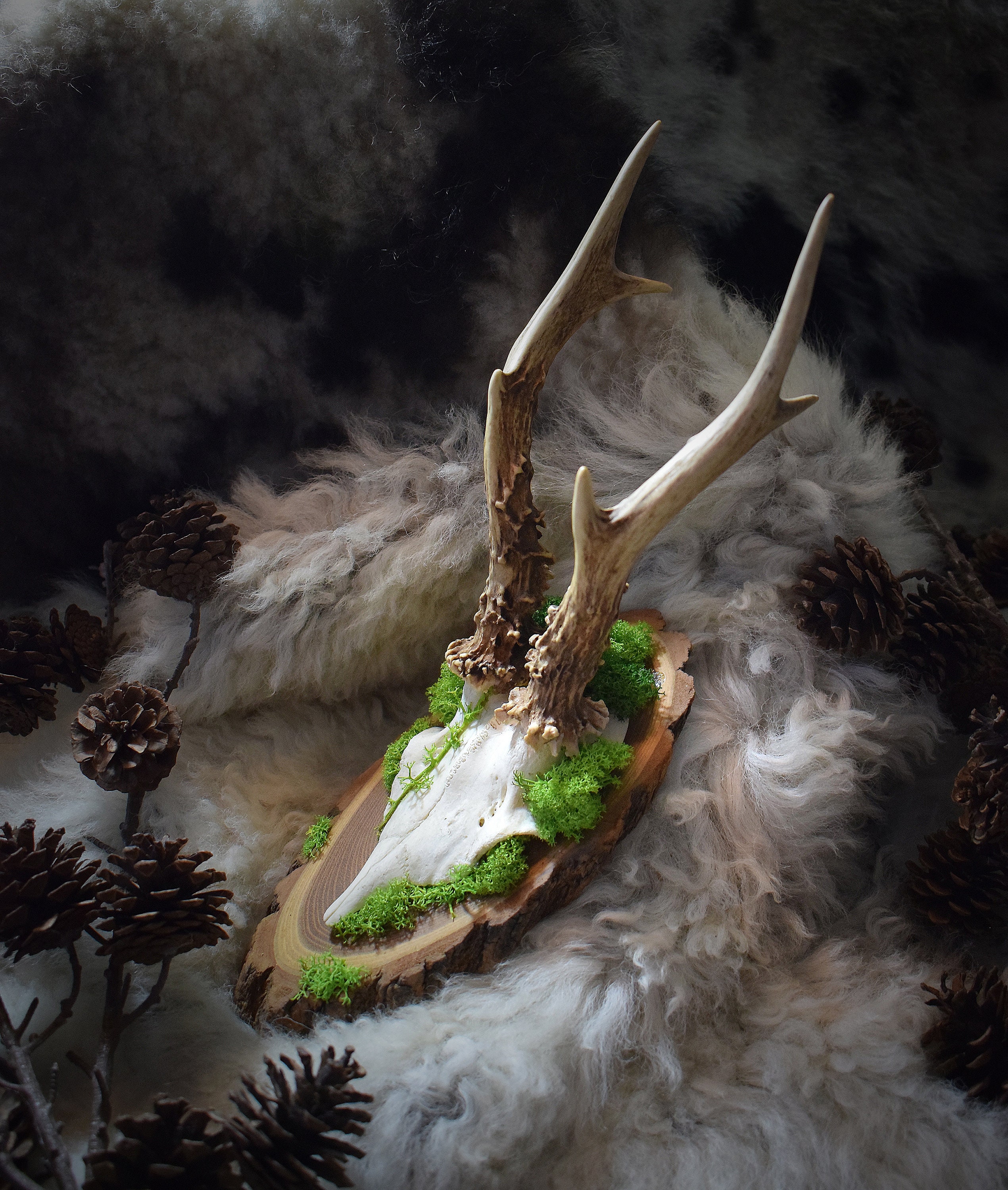 Mossy Oak Deer Skull