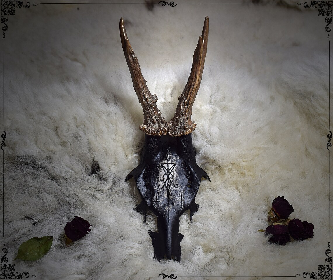 Genuine Roe Deer Skull Carved Skull Sigil of Lucifer - Etsy