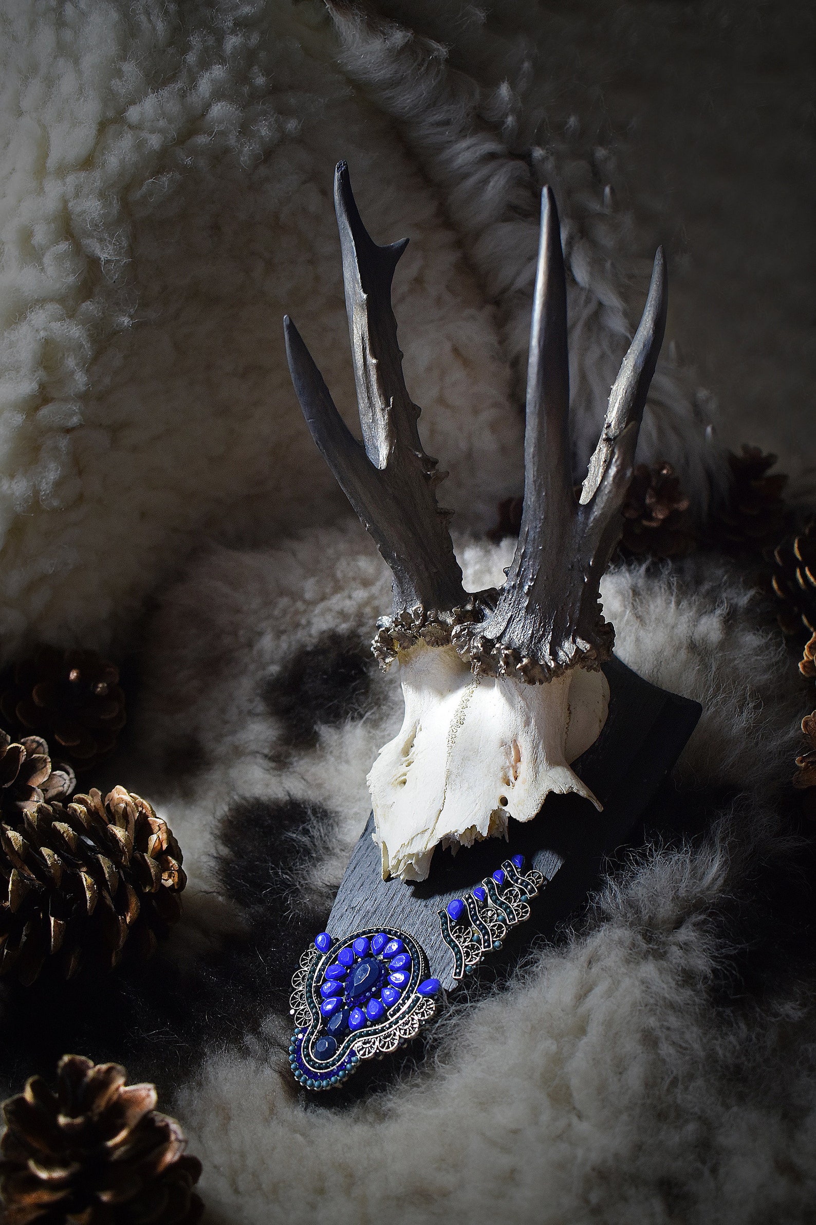 Roe Deer Skull Anomaly Unusual Deformed Antlers rare Find - Etsy