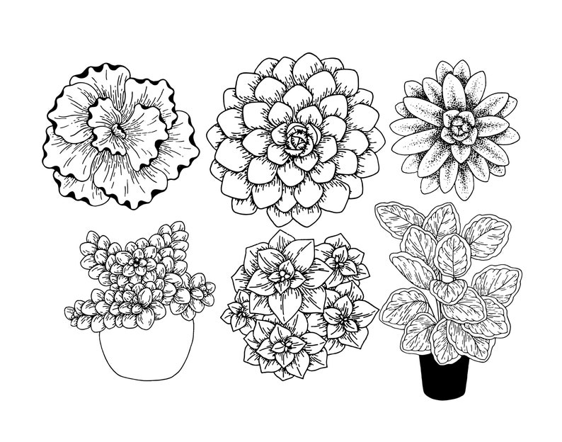 Procreate House Plant Stamp Pack - Brushes for iPad | Artistic House ...