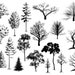 Procreate Tree Silhouette Stamp Pack Best Value Tree Brush - Etsy