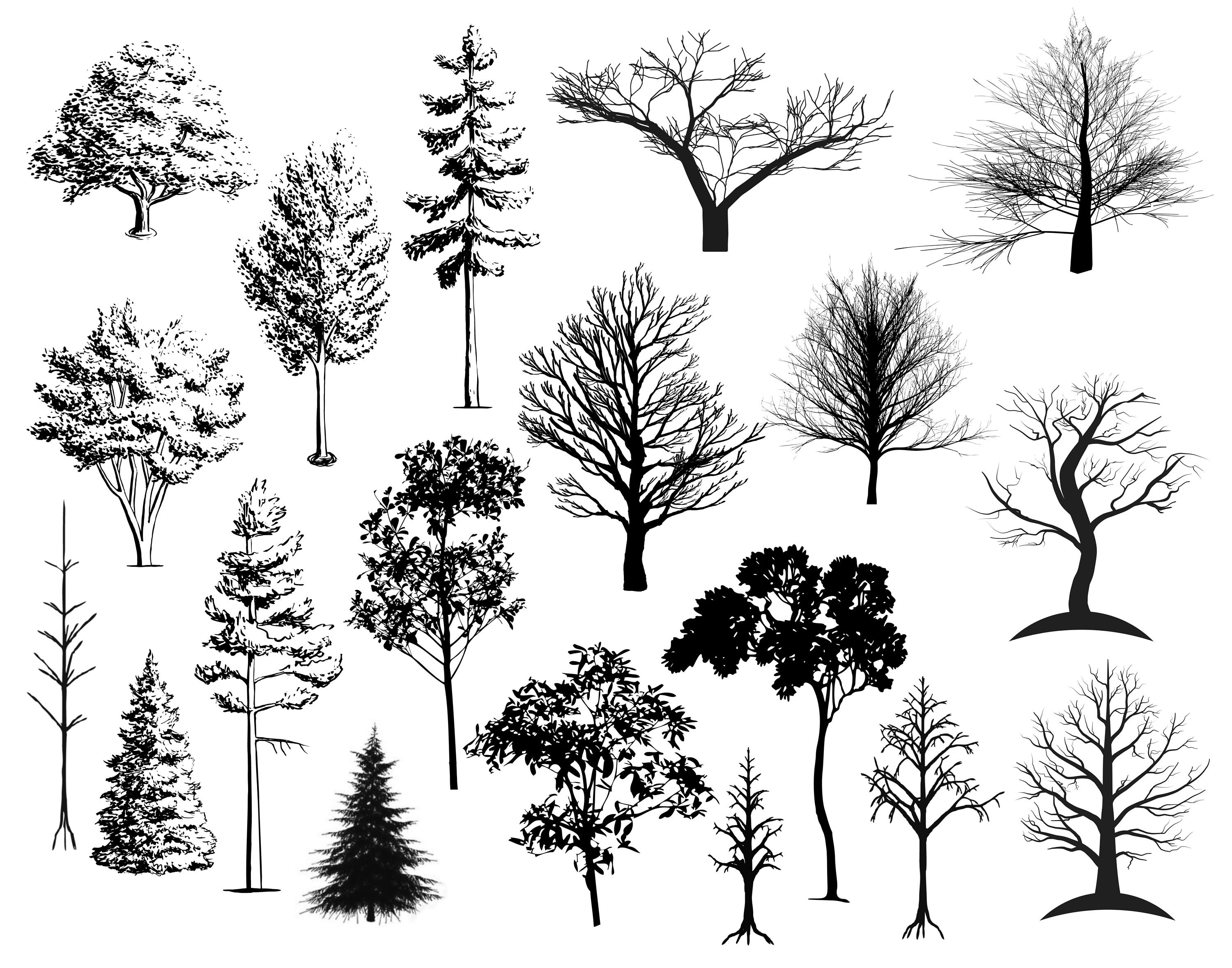 Procreate Tree Silhouette Stamp Pack Best Value Tree Brush - Etsy