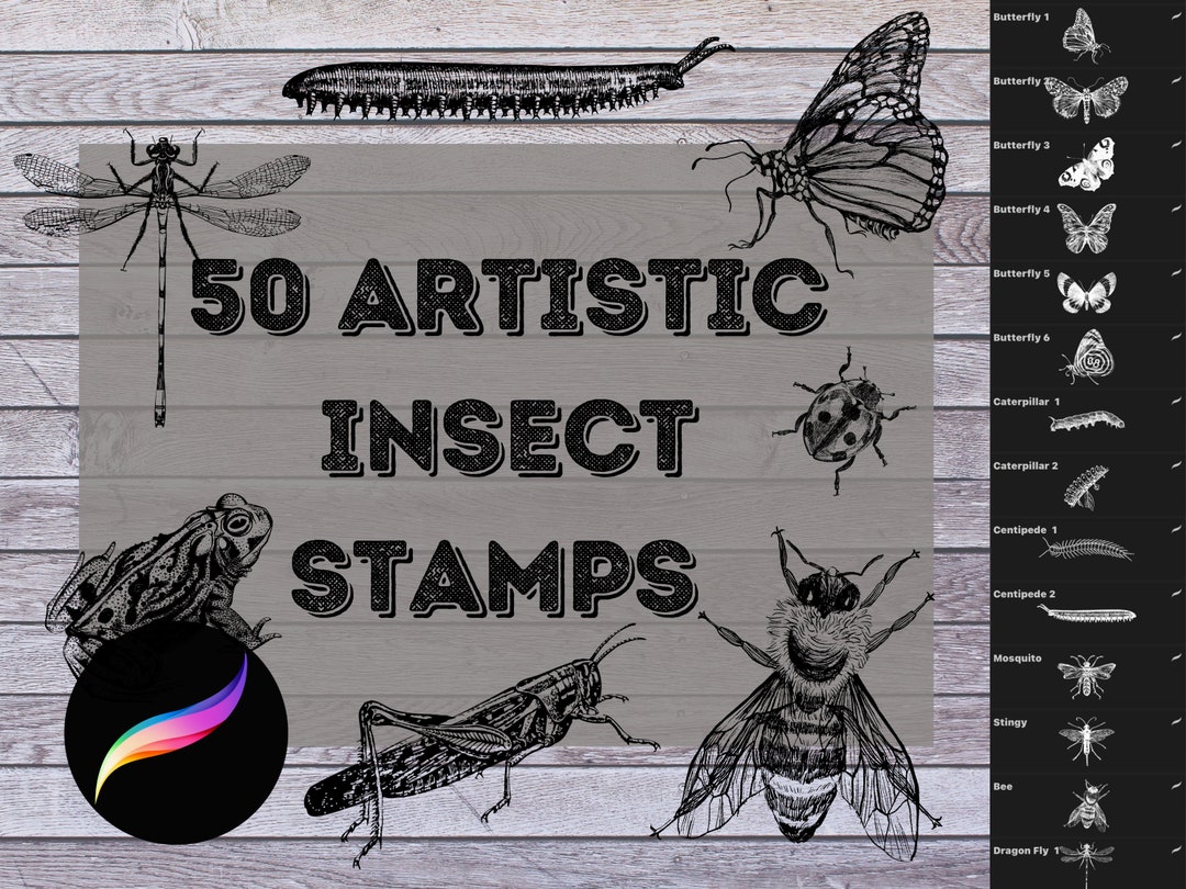 Procreate Insect Stamp Pack - Brushes for iPad | Bugs - Birds ...