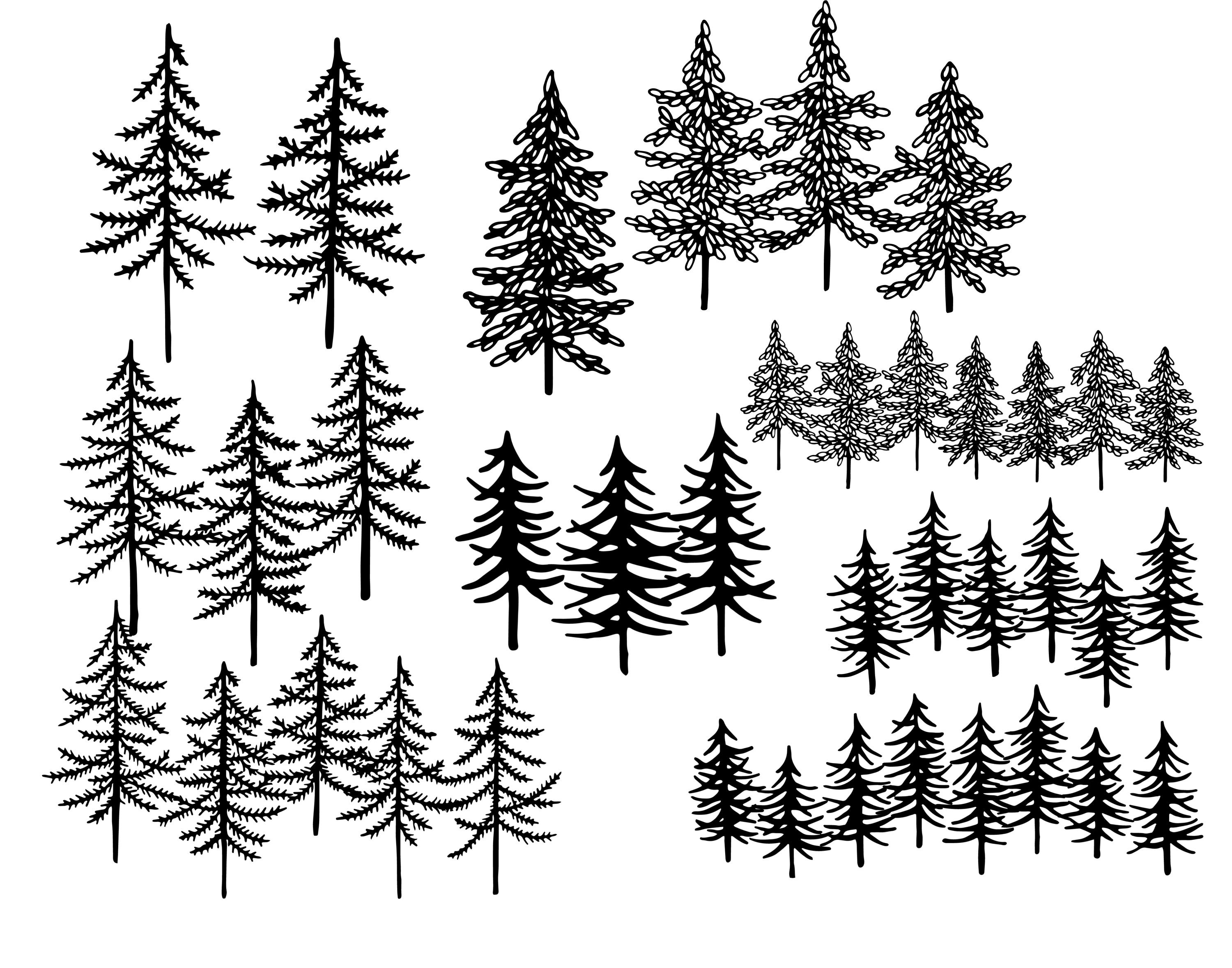 Procreate Tree Silhouette Stamp Pack Best Value Tree Brush | Etsy