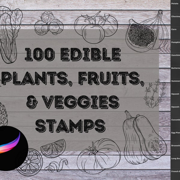 Vegetable Stamp - Etsy