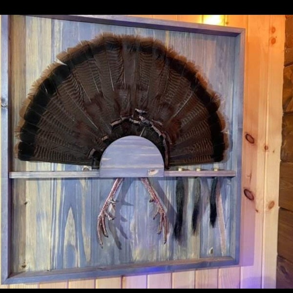 Turkey Fan Mount - Etsy