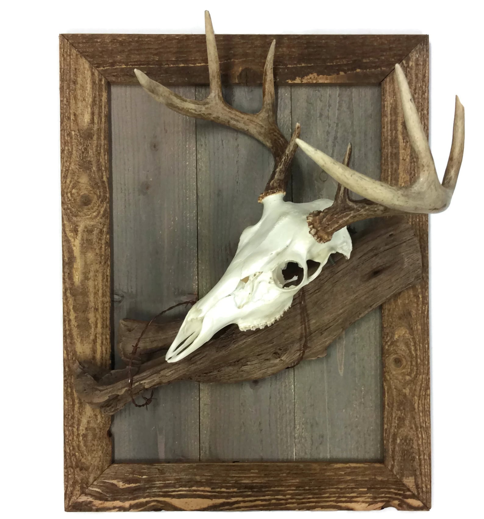 Golden Oak European Plaque - Etsy