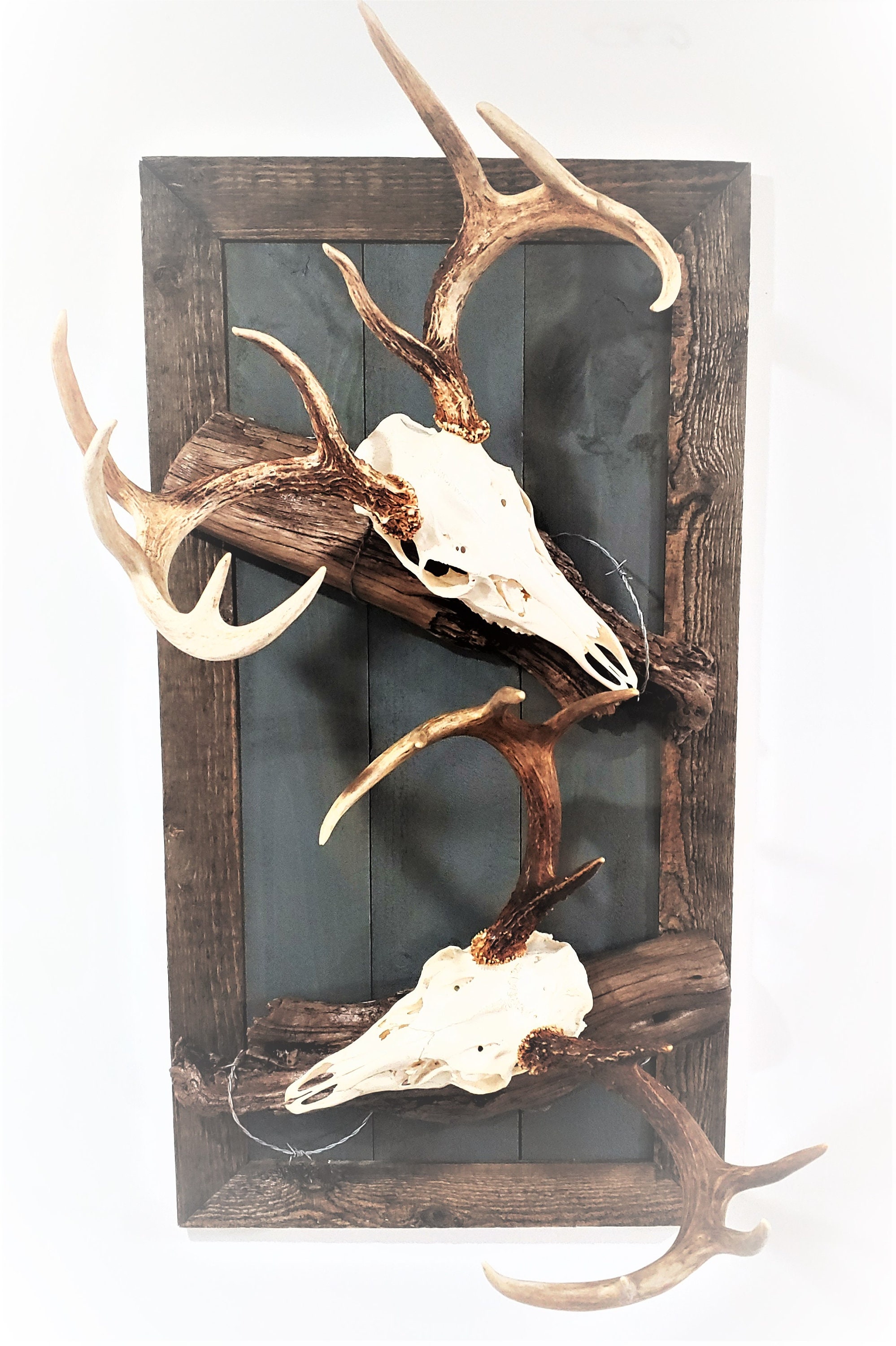 Vertical Double Euro Plaque - Etsy