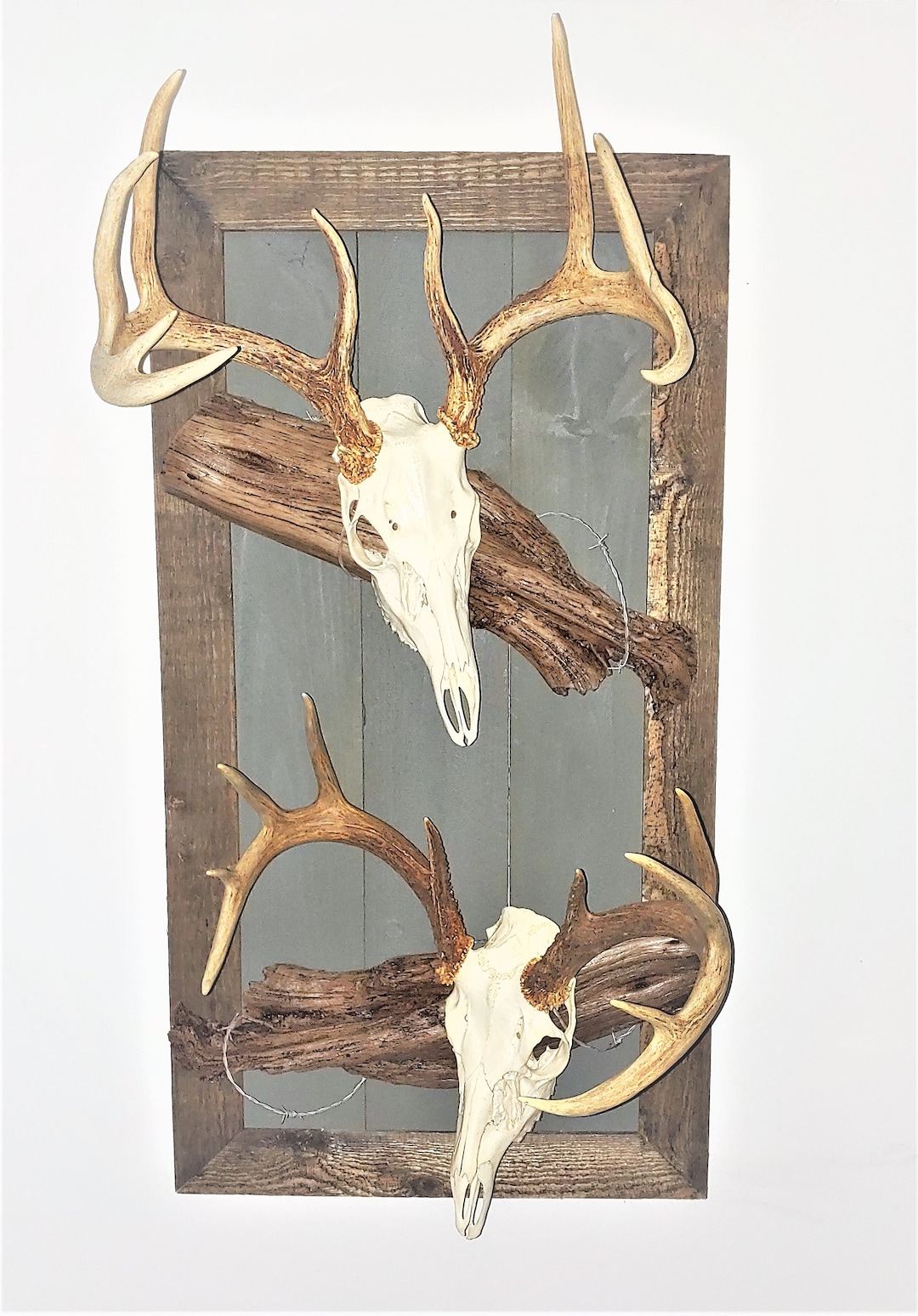 Vertical Double Euro Plaque - Etsy