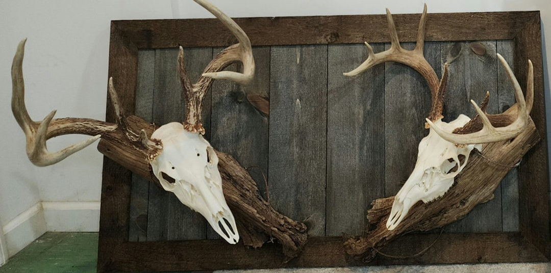 Double Hanger Plaque - Etsy