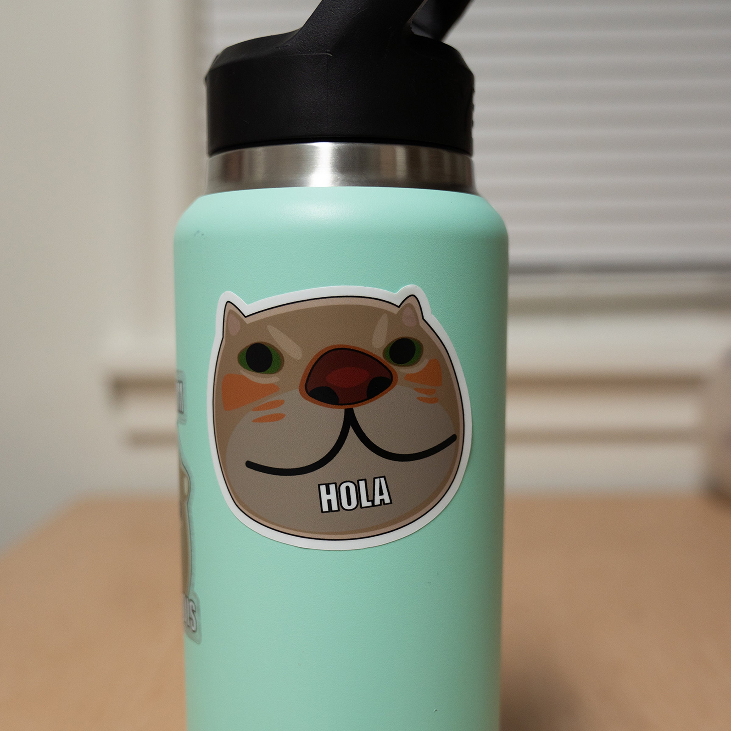 Hola Cat | Cat Sticker, Cat Meme, Sticker, Die Cut Sticker, 3x3 Sticker ...