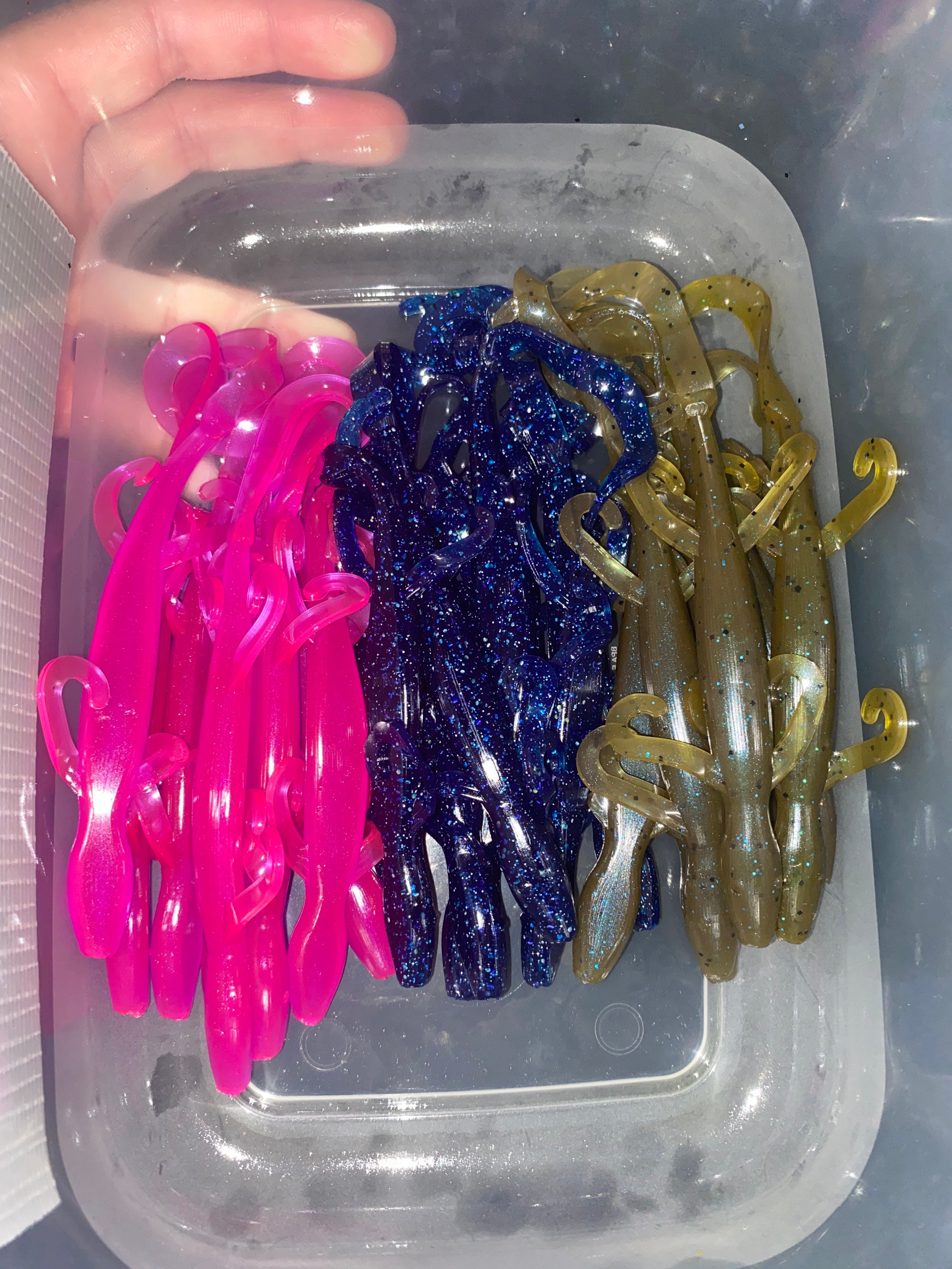 6” ~ Bass Fishing Lizards - Etsy