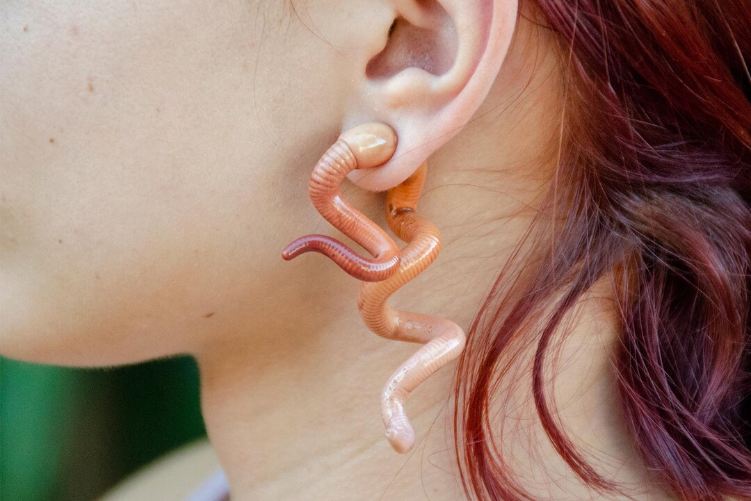 Hand Painted Earthworm Earrings - Etsy