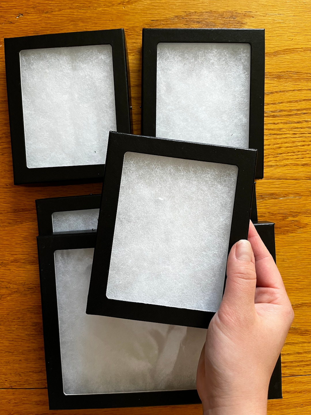 Riker Mount Frames for Insects. Different Sizes! Butterflies, Beetles ...