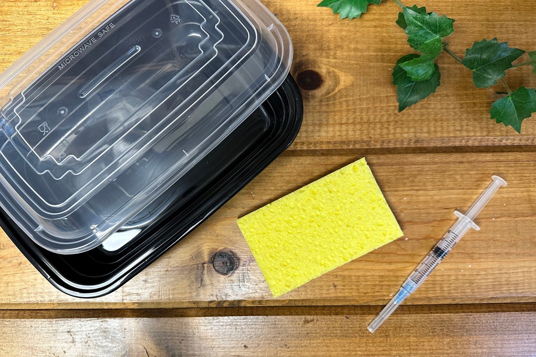 Butterfly/insect Hydration Chamber Kit for Rehydrating Butterflies, Bug ...