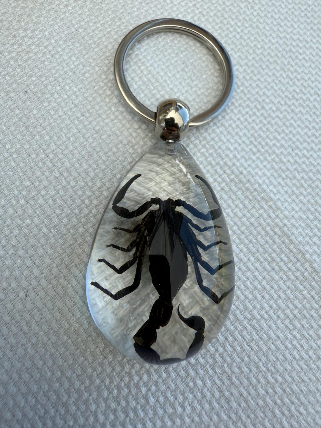Real Preserved Scorpion Keychain in Clear Resin - Etsy