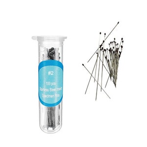 Complete Butterfly Mounting Kit With Spreading Board, PRESERVED ...