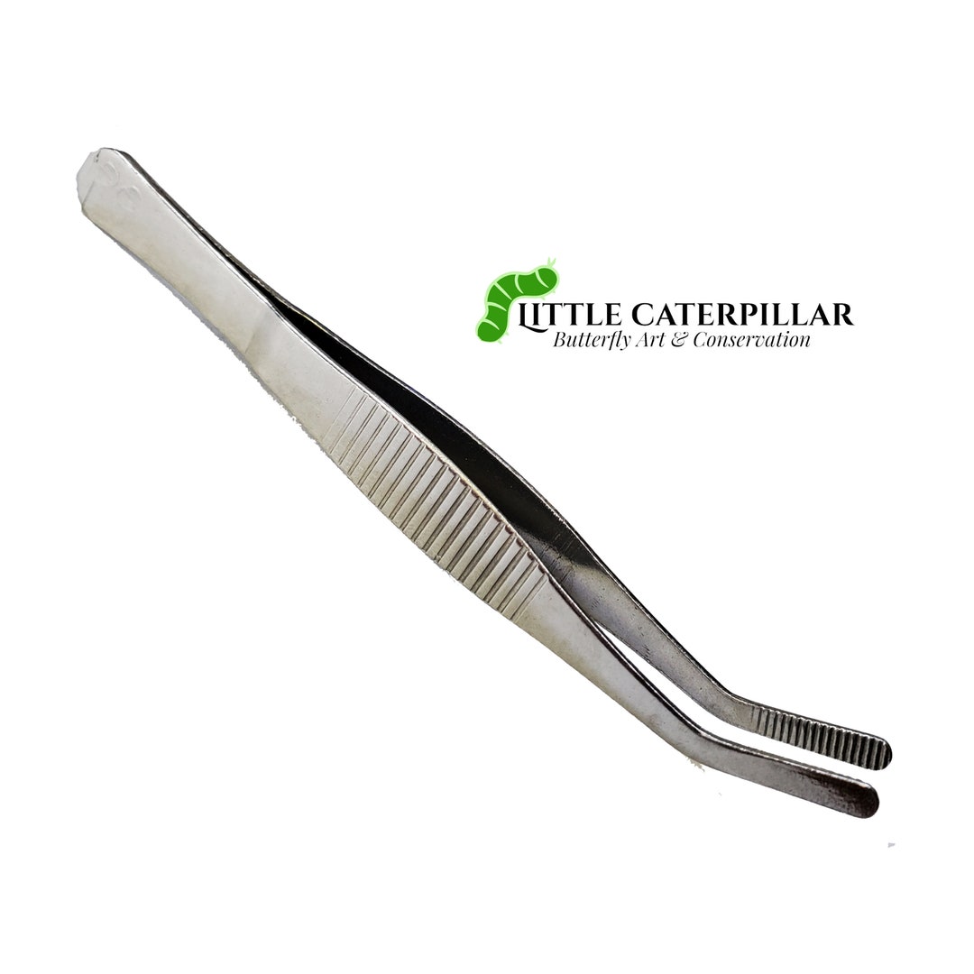 Ribbed Tip Entomology Tweezers/forceps Grooved, Insect Beetle Tool for ...