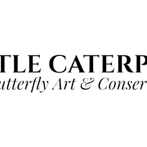 Butterfly/insect Hydration Chamber Kit for Rehydrating Butterflies, Bug ...