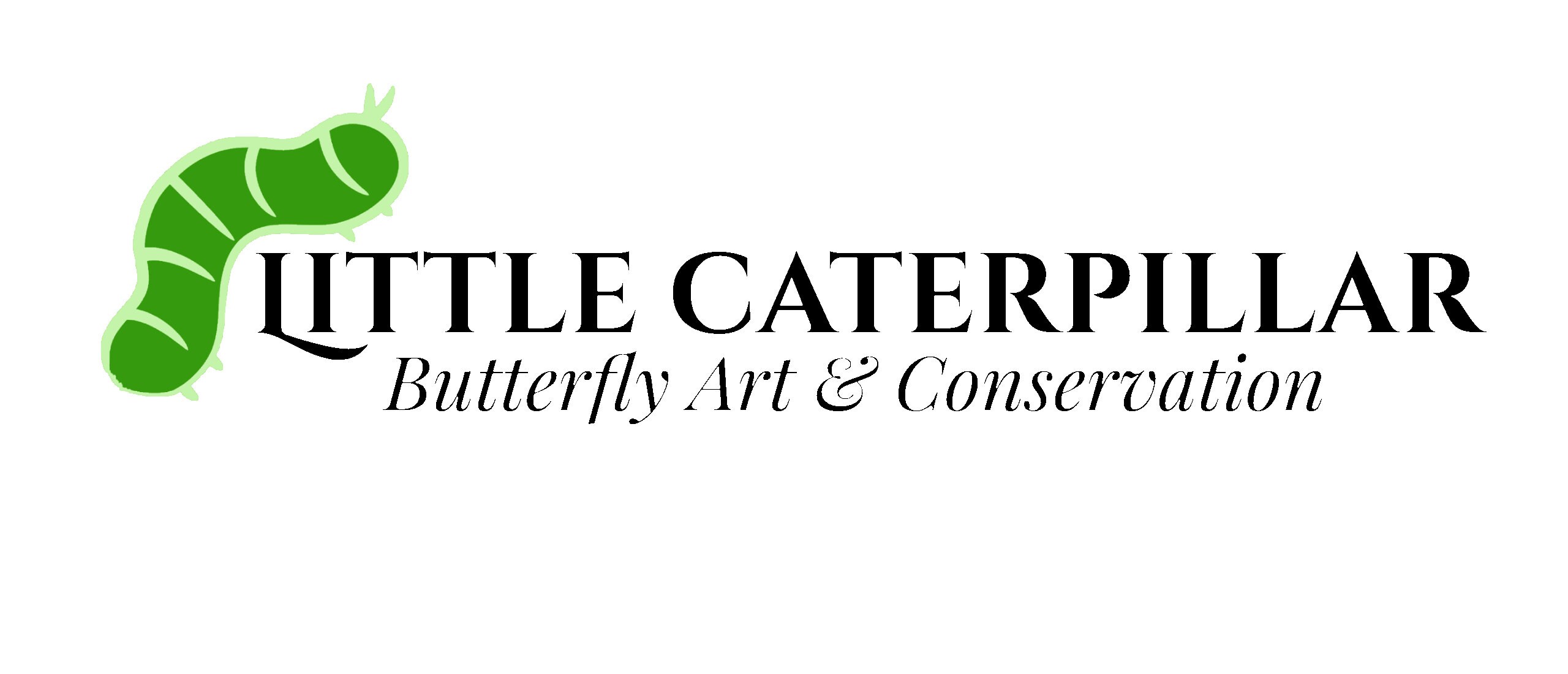Butterfly/insect Hydration Chamber Kit for Rehydrating Butterflies, Bug ...