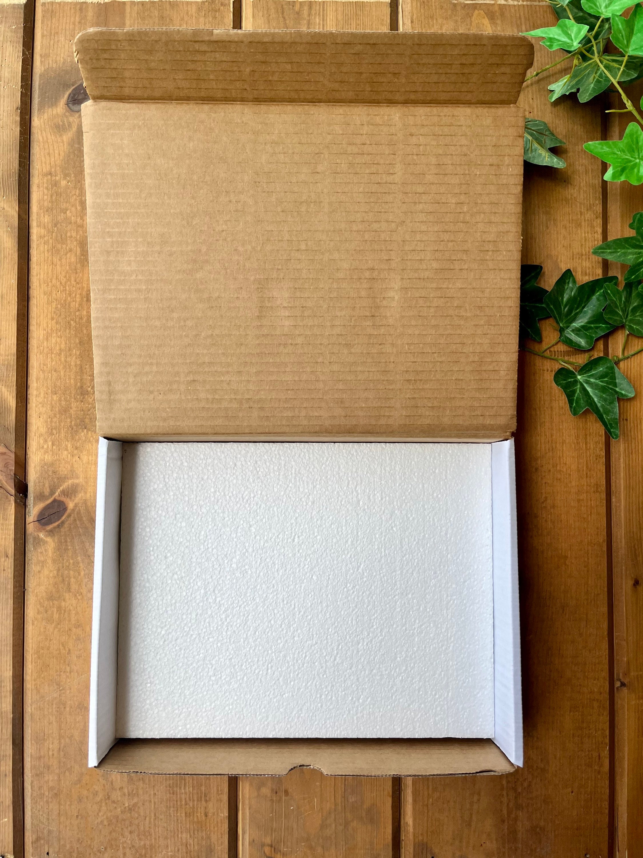 Insect Storage Box/container 8 1/2 X 11 - Etsy