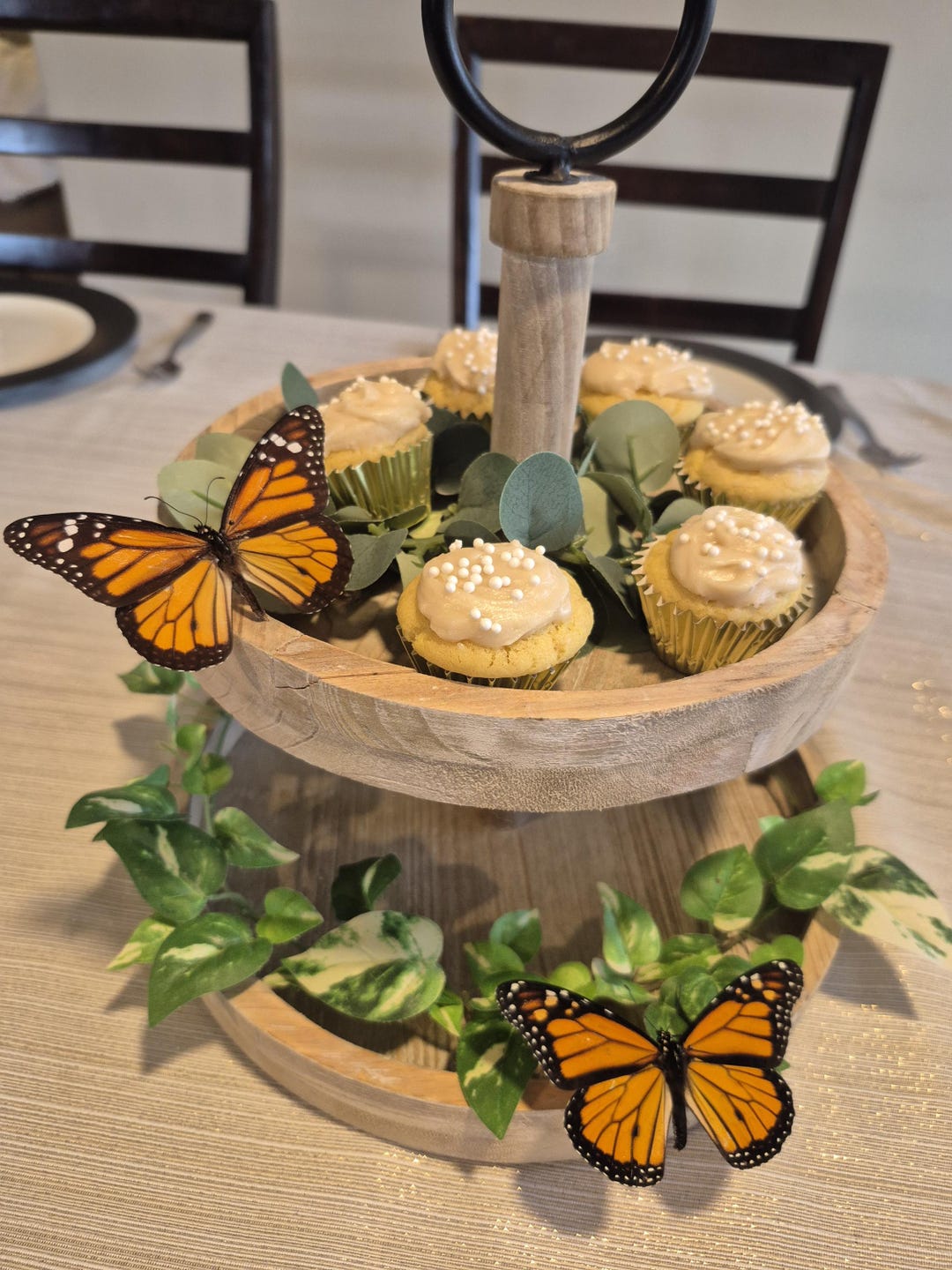 Real Butterflies and Moths for Wedding Decor WINGS SPREAD Open, Mixed ...