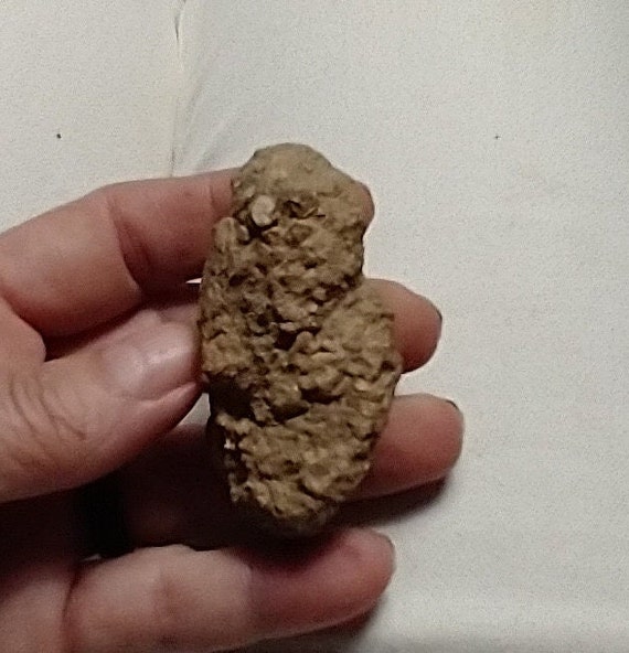 Effigy Polymorphic Animal Monkey Human Rare | Etsy