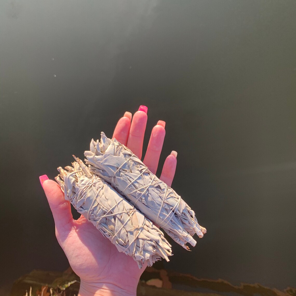 White Sage 5 Wand L White Sage Bundle L Smudging Wand L - Etsy