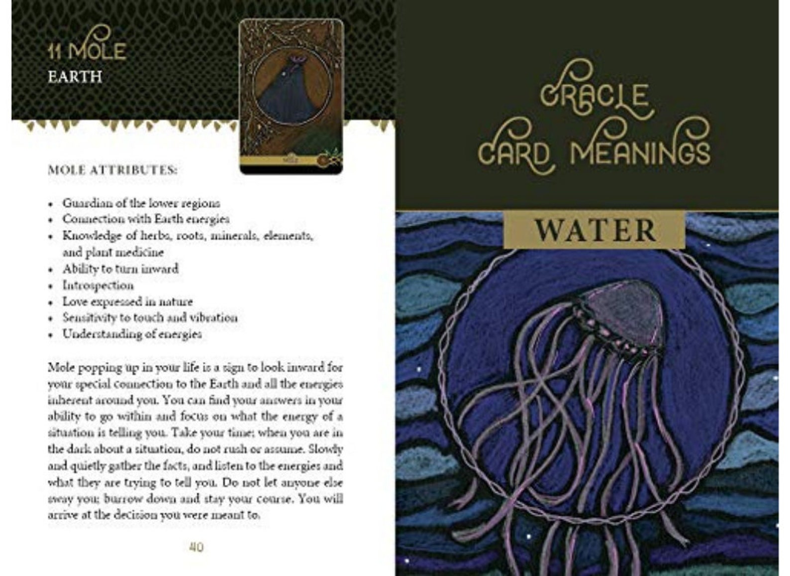 The Wild Elemental Oracle by Michelle Motuzas | Etsy