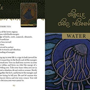 The Wild Elemental Oracle by Michelle Motuzas - Etsy