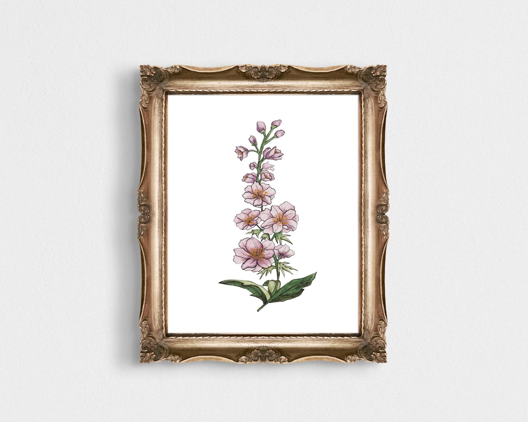 JULY Birth Flower Print, Watercolor Larkspur Painting, Watercolor ...