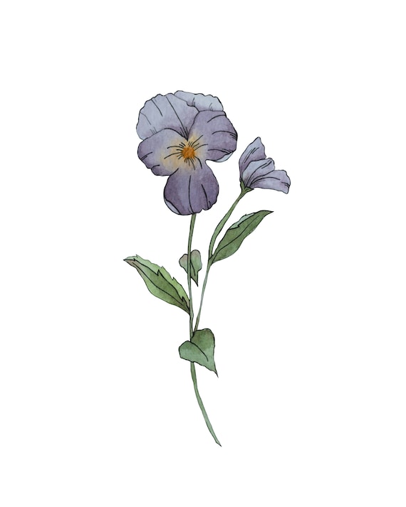 February Birth Flower