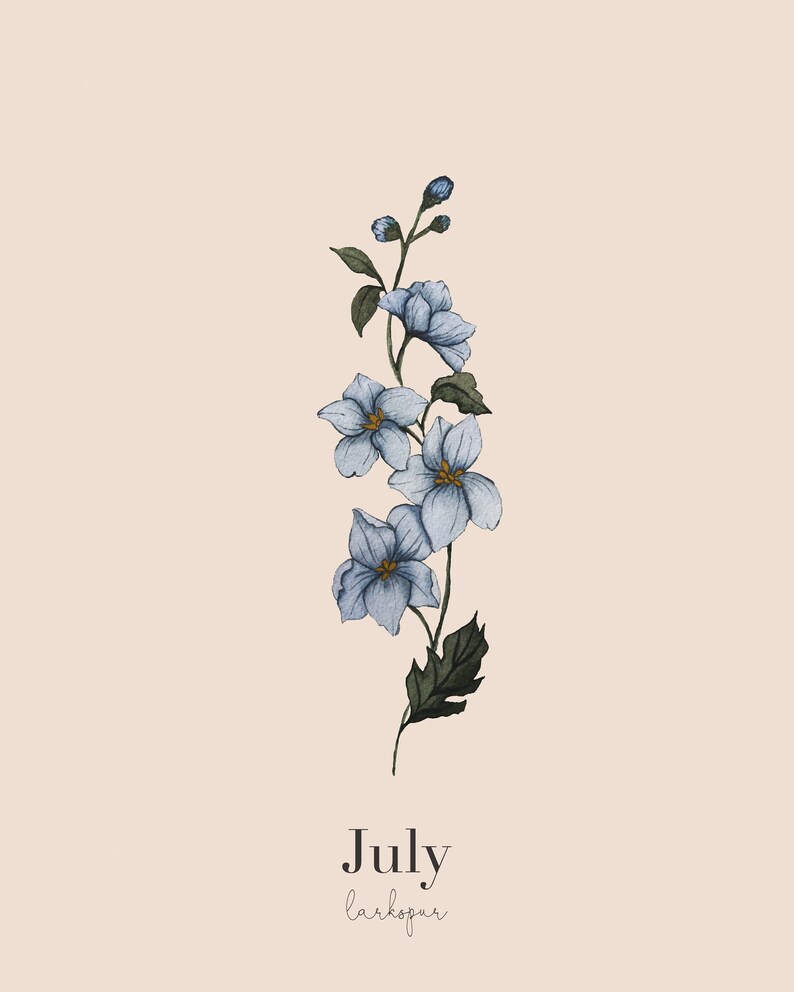 JULY Birth Flower Print, Watercolor Larkspur Painting, Watercolor ...