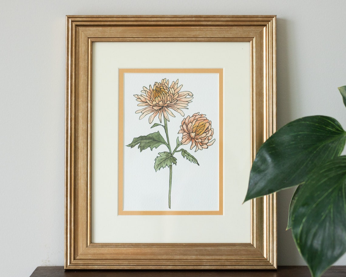 November Birth Flower Print Watercolor Chrysanthemum - Etsy