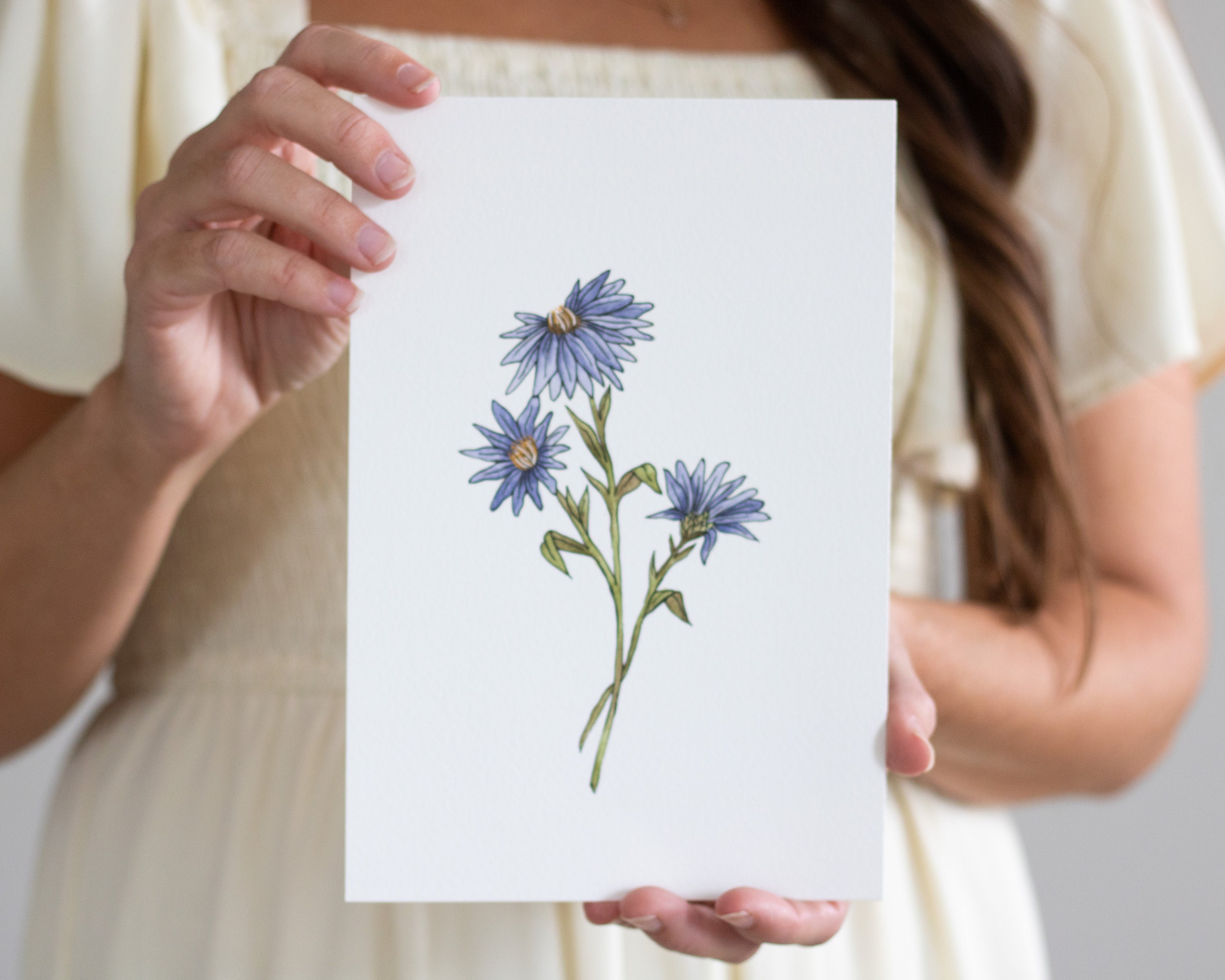 September Birth Flower Print, Watercolor Aster Painting, Watercolor ...