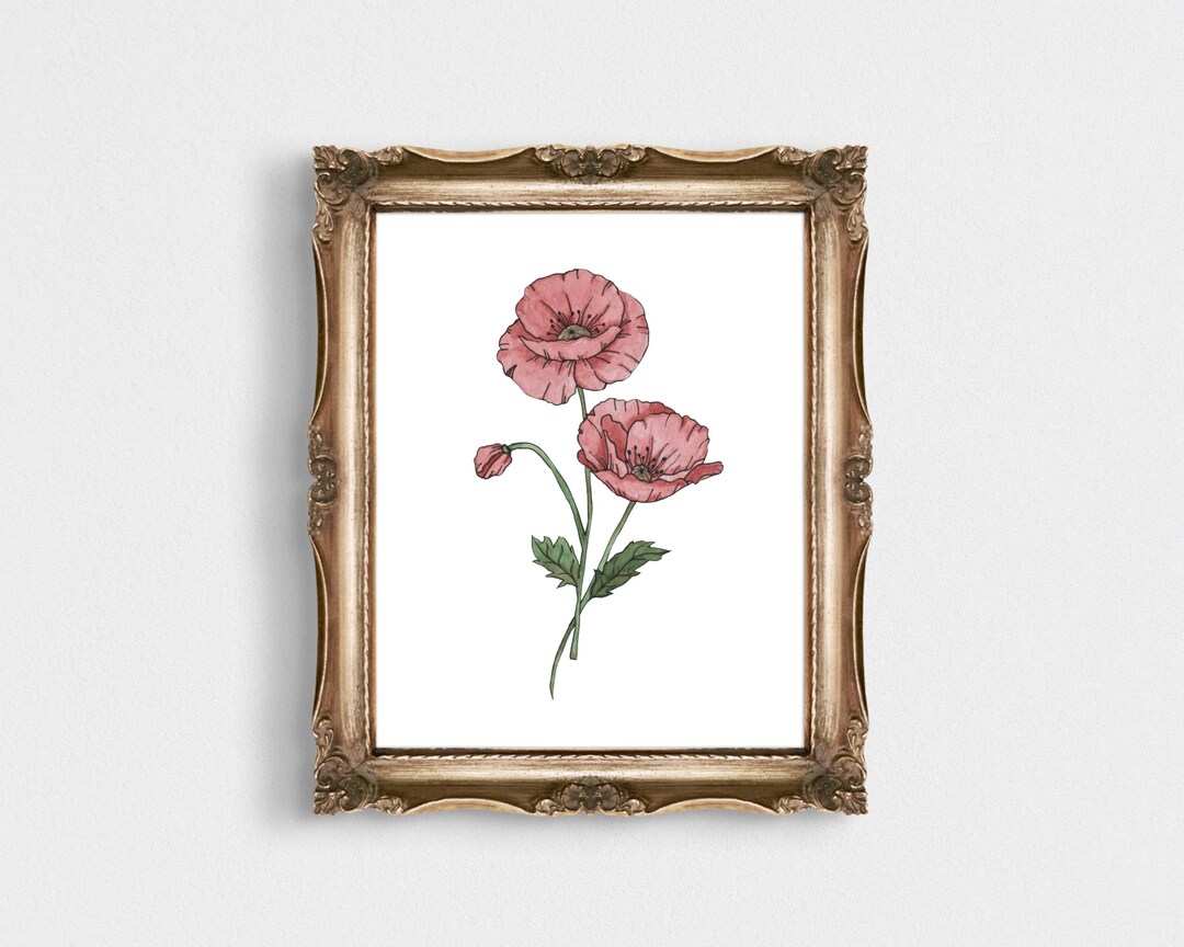 AUGUST Birth Flower Print, Watercolor Poppy Painting, Watercolor Flower ...