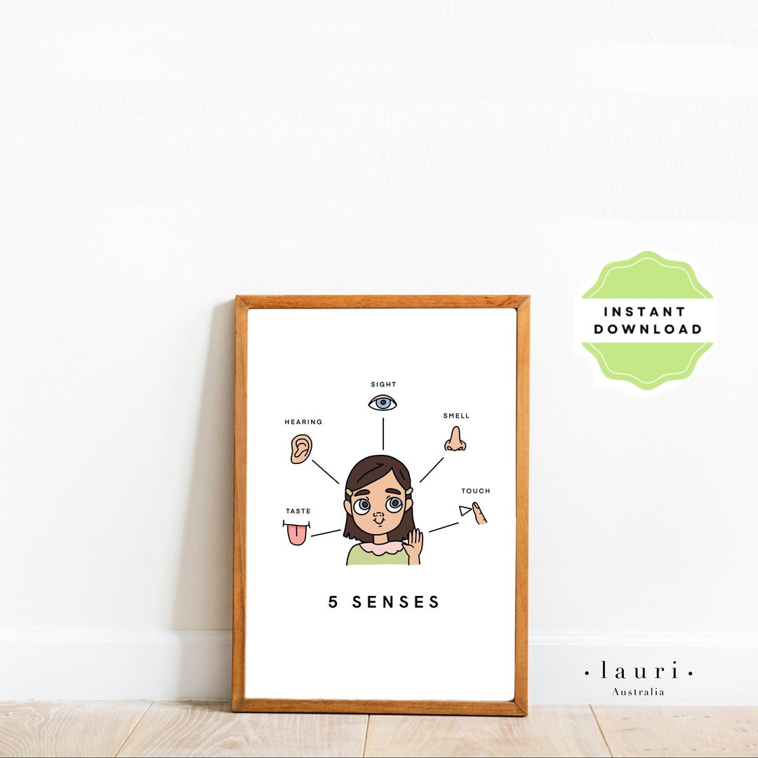The 5 Senses Poster for Children, Educational Digital Download ...