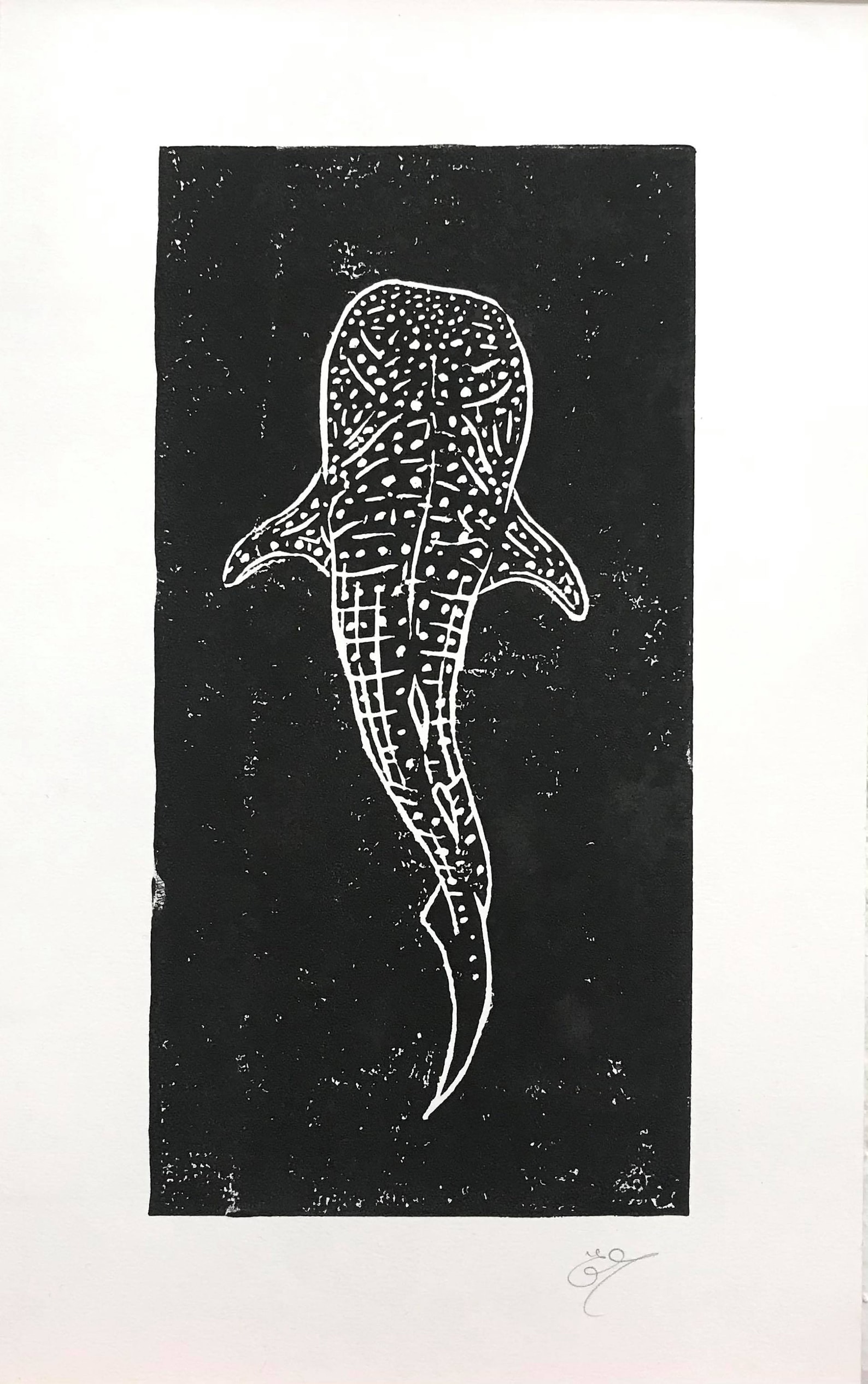 Whale Shark Original Linocut Art Print - Etsy UK