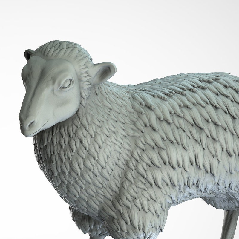 Miniature Sheep - Etsy