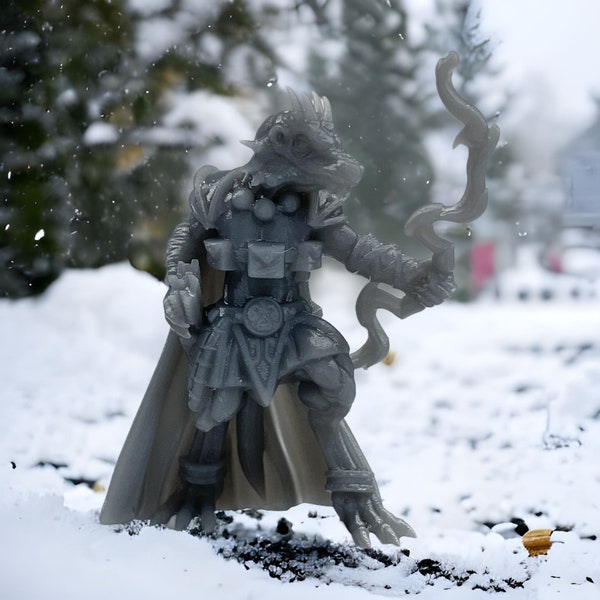 Dnd Dragonborn Miniature - Etsy