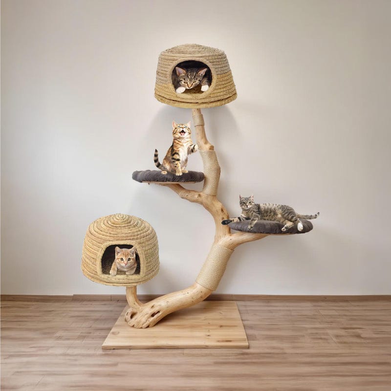 Unique Cat Trees - Etsy