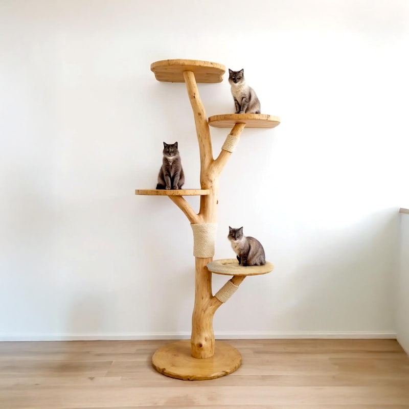 Natural Branch Cat Tree - Etsy