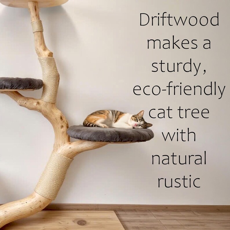 Driftwood Cat Tree Climbing Tower Tree for Large Cat Natural Wood ...