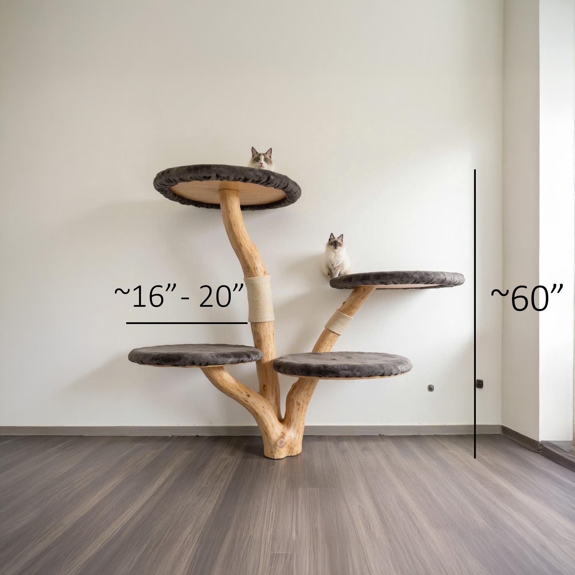 Driftwood Cat Tree Natural Wood Cat Tower for Large Cat Tower ...